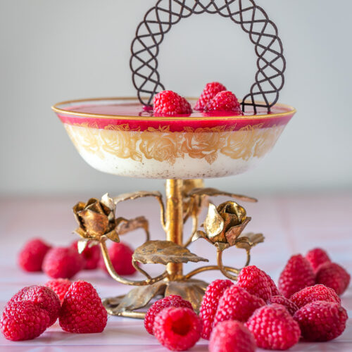 Vanilla White Chocolate Namelaka with Raspberry Coulis and Chocolate ...